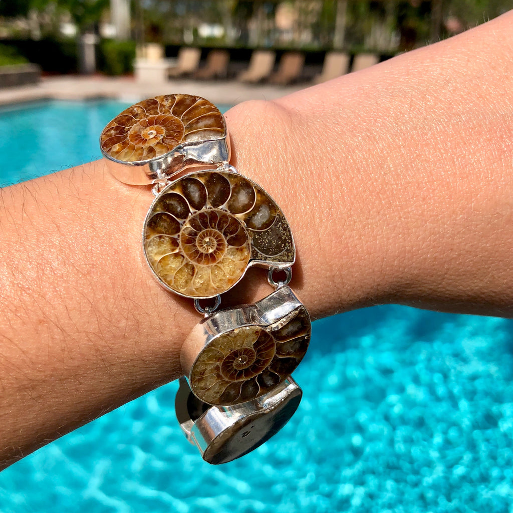 Ammonite Fossil Bracelet | Sterling Silver – Seaside Sparkle